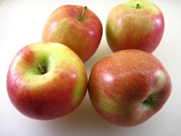 Maple-Roasted Apples with Candied Nuts | In the kitchen with Kath