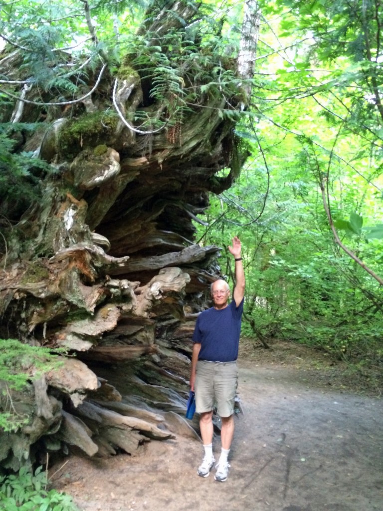 A Day Trip to Paradise | In the kitchen with Kath